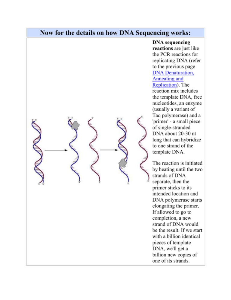 How DNA Sequencing works