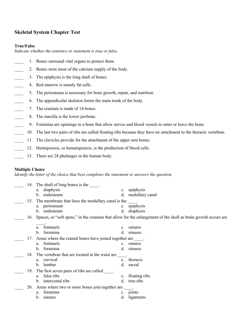 Skeletal System Chapter Test