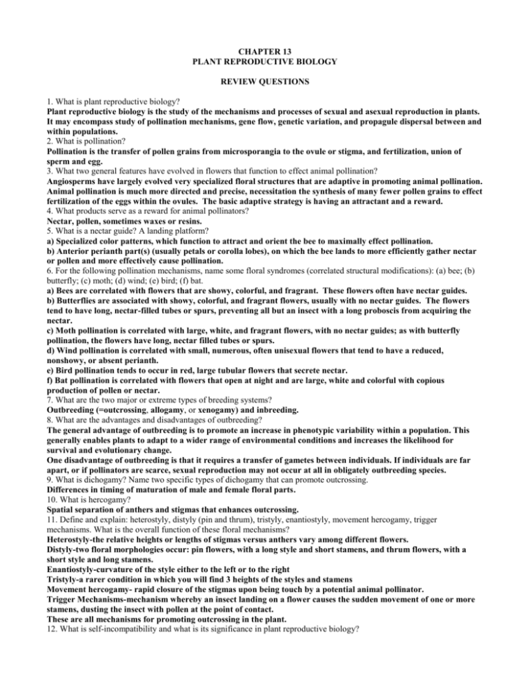 CHAPTER 13 PLANT REPRODUCTIVE BIOLOGY REVIEW CHAPTER 13 PLANT REPRODUCTIVE BIOLOGY REVIEW