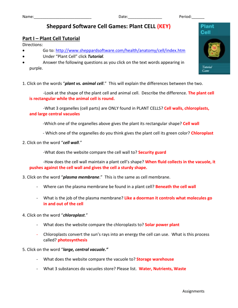 Sheppards Plant Cell Answer Key