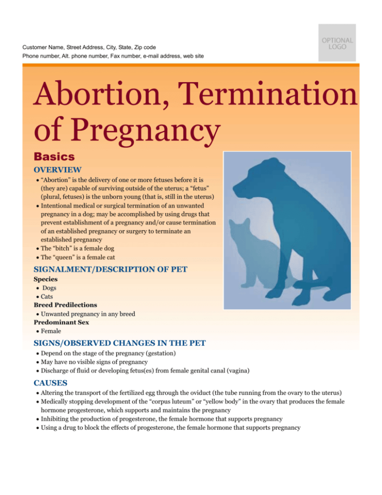abortion_termination_of_pregnancy
