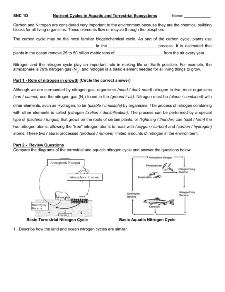 Nutrient Cycles in Aquatic and Terrestrial Ecosystems
