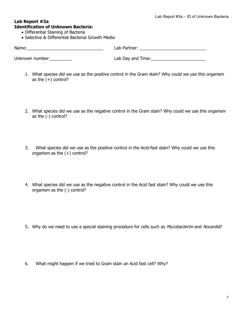  Microbiology Unknown Organism Lab Report Microbiology Lab Report 