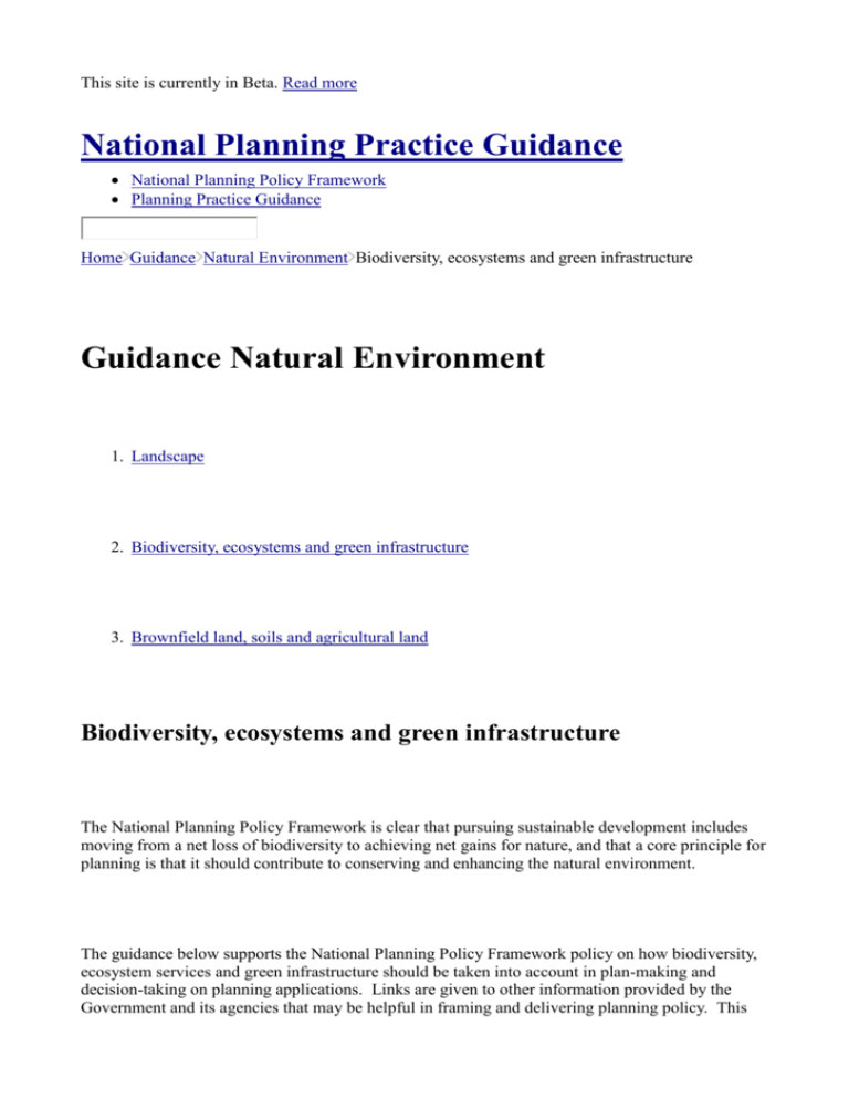 National Planning Practice Guidance