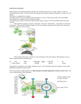 AP Biology Chapter 10 Notes Photosynthesis I. Overview: a