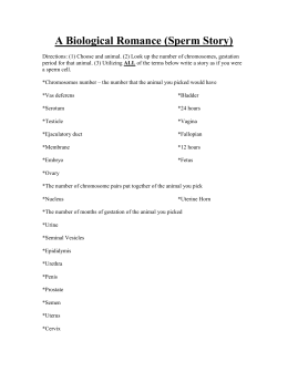 Miracle of Life Worksheet