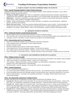 TPE Portfolio Examples Information