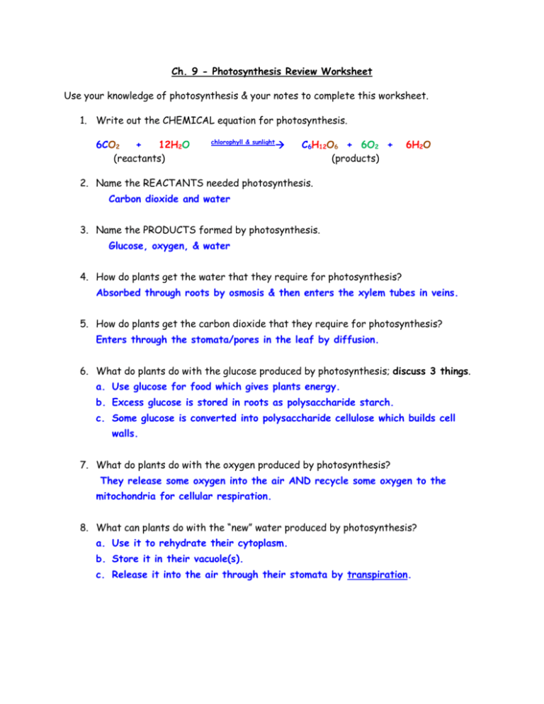 Ch 9 Photosynthesis Review Worksheet Use Your Knowledge Of Ch 9 Photosynthesis Review Worksheet Use Your Knowledge Of