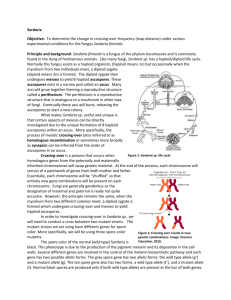 CROSSING OVER IN Sordaria
