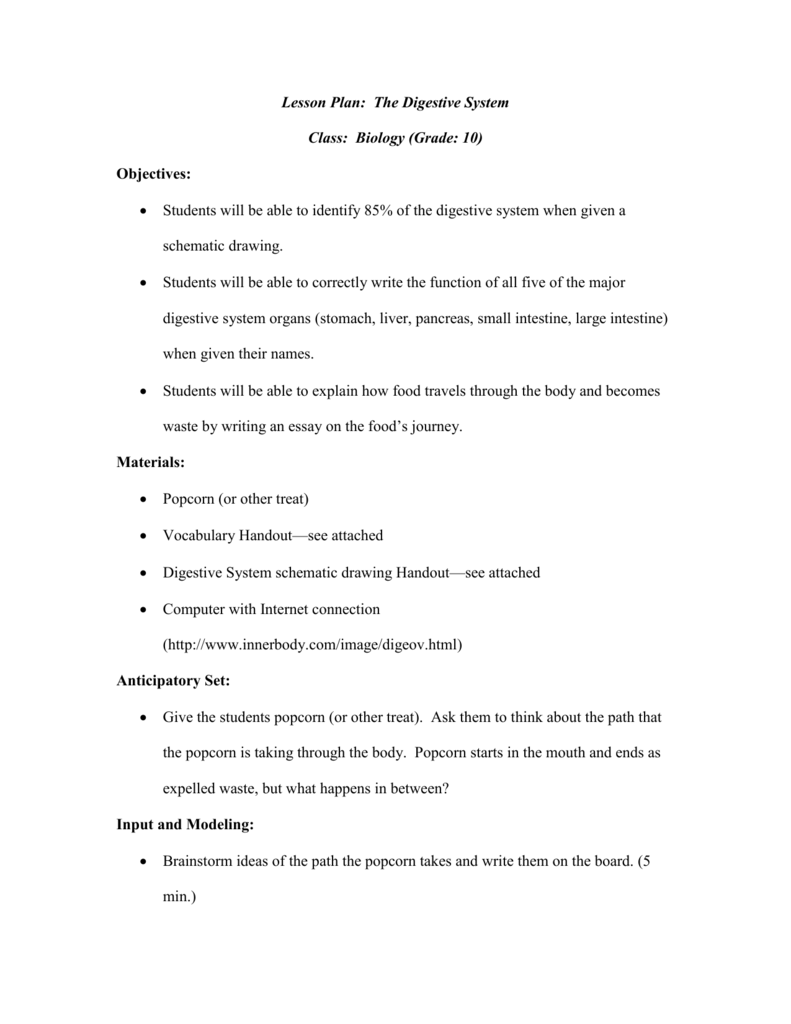 Lesson Plan The Digestive System Lesson Plan The Digestive System
