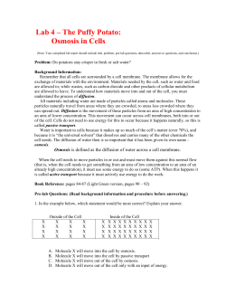 Diffusion, Osmosis and Active Transport Worksheet
