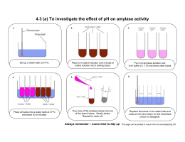 8Ad2 Amylase Action.doc