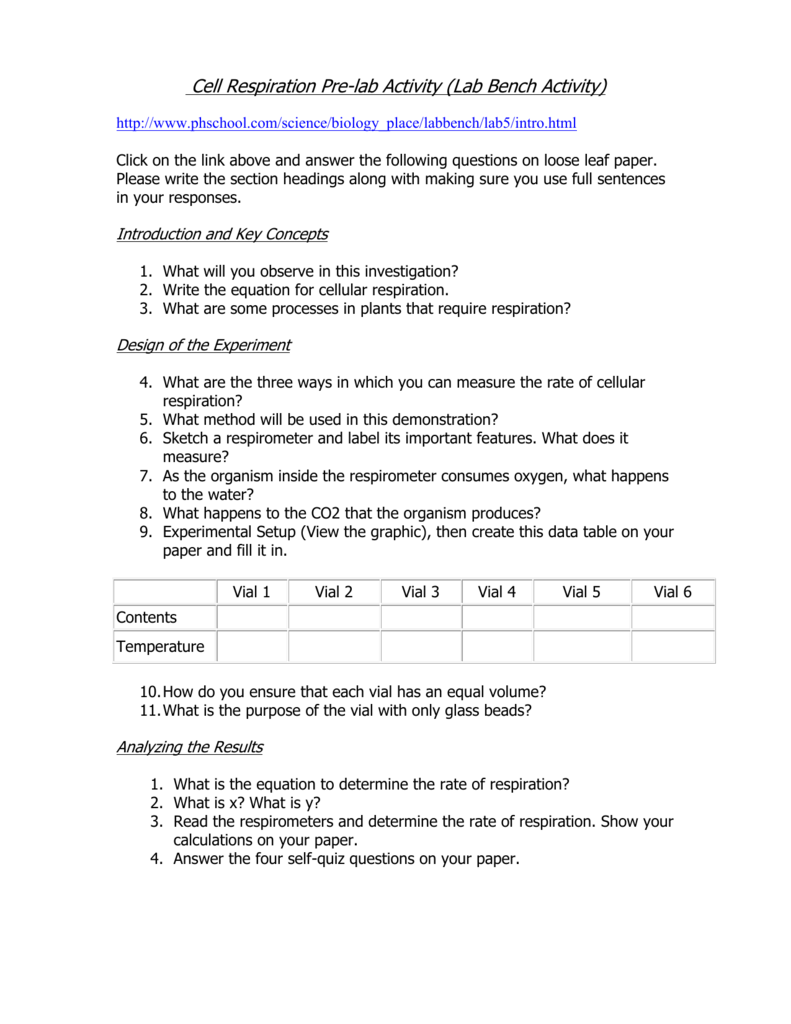 Lab 5 Cell Respiration Lab Bench Activity 5 Lab 5 Cell Respiration Lab Bench Activity 5