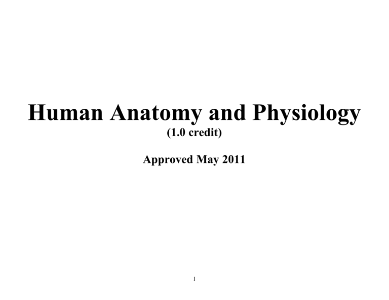 Human Anatomy And Physiology