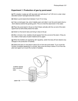 Elodea & Photosynthesis Lab