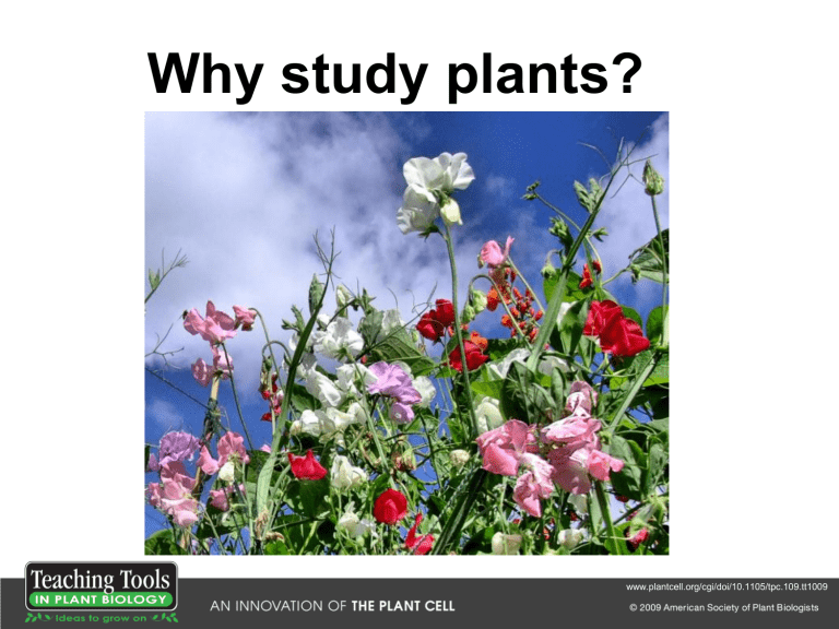 Why Study Plants 