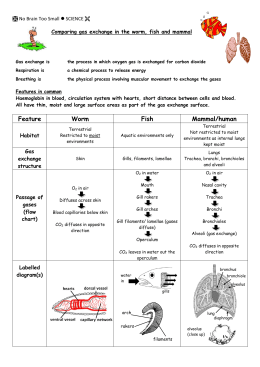A comparison of the gas exchange system of fish and mammals