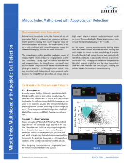 Calculating Mitotic Index