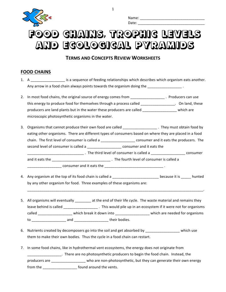 Ecological Pyramids Worksheet Answer Key