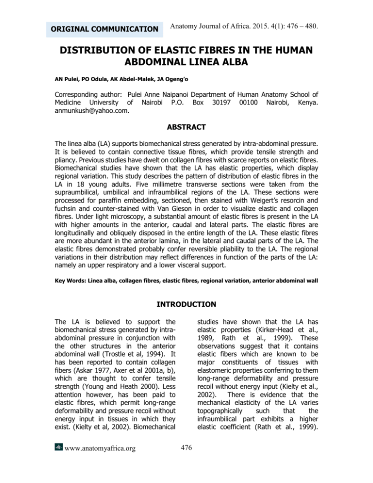 CHARACTERSITICS OF THE HUMAN ABDOMINAL LINEA ALBA