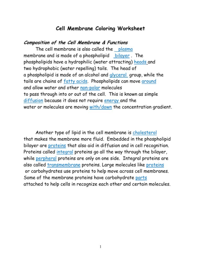 Cell Membrane Answer Key Cell Membrane Answer Key