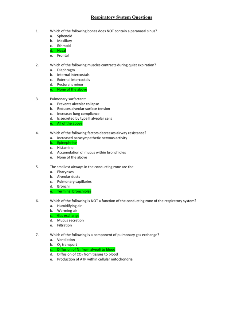Respiratory System Questions Respiratory System Questions