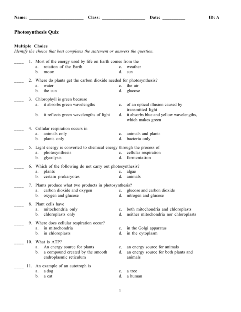 Photosynthesis Quiz Photosynthesis Quiz
