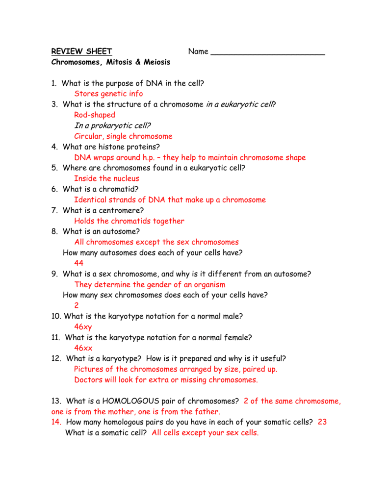 Review Sheet Cell Division Answers Review Sheet Cell Division Answers