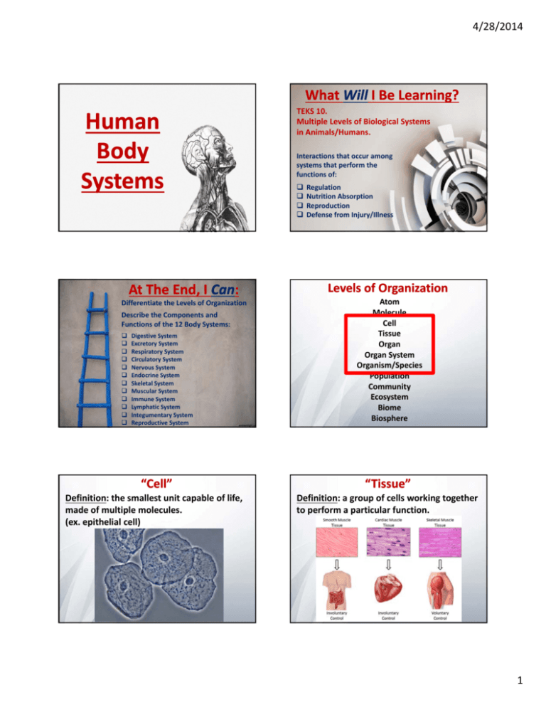 Human Body Systems