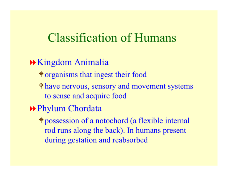 Classification Of Humans