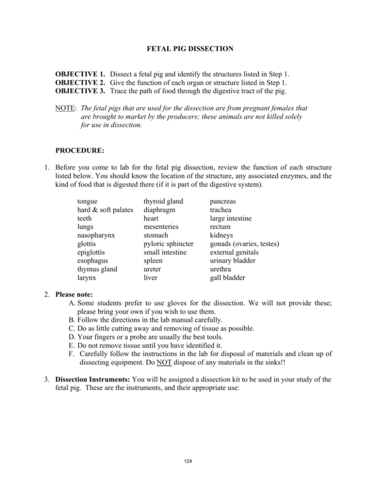 FETAL PIG DISSECTION OBJECTIVE 1 Dissect A Fetal Pig And