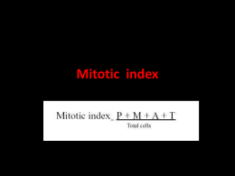 Calculating Mitotic Index