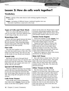 Cells, Tissues, Organs and Organ Systems Notes