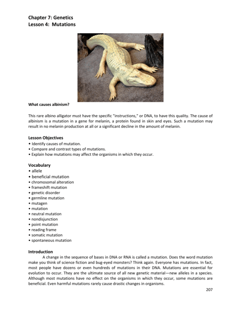 Chapter 7: Genetics Lesson 4: Mutations