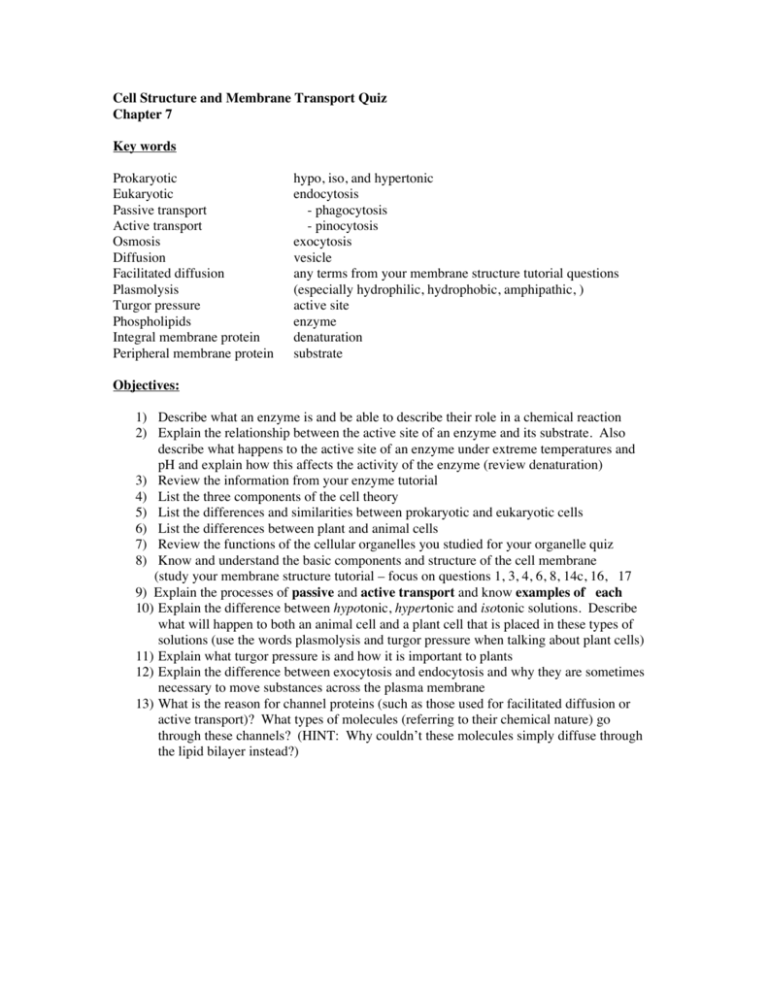 Cell Structure And Membrane Transport Quiz Chapter 7 Key Words Cell Structure And Membrane Transport Quiz Chapter 7 Key Words
