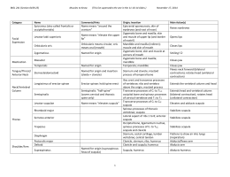 Chart of Muscle Origin Insertion Action