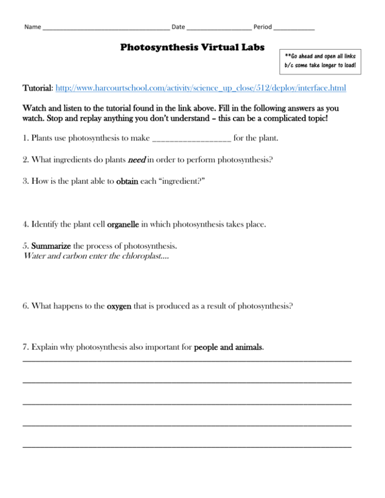 Virtual Photosynthesis Lab 2015
