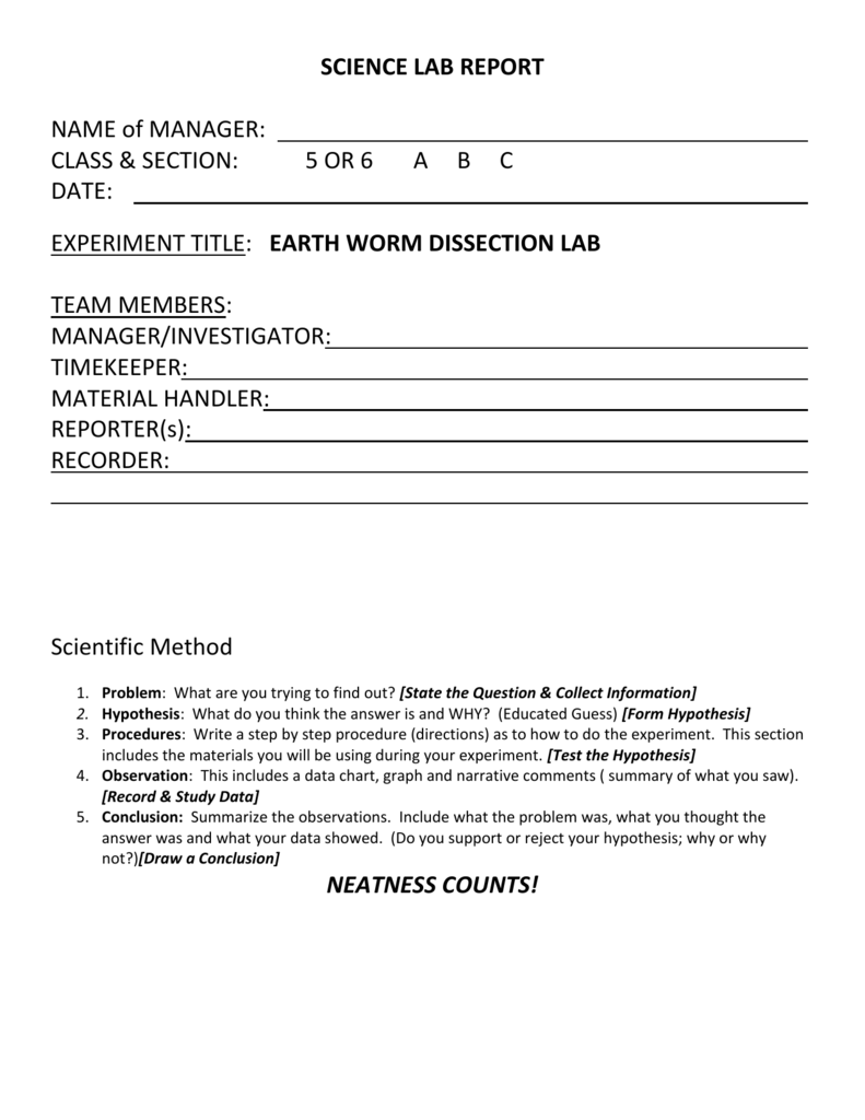 Worm Dissection Lab Report