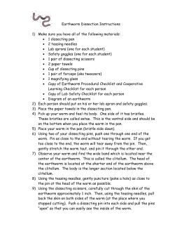 Worm Dissection Lab Report