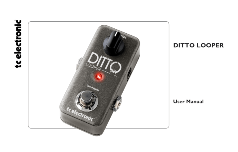 Ditto Looper TC Electronic