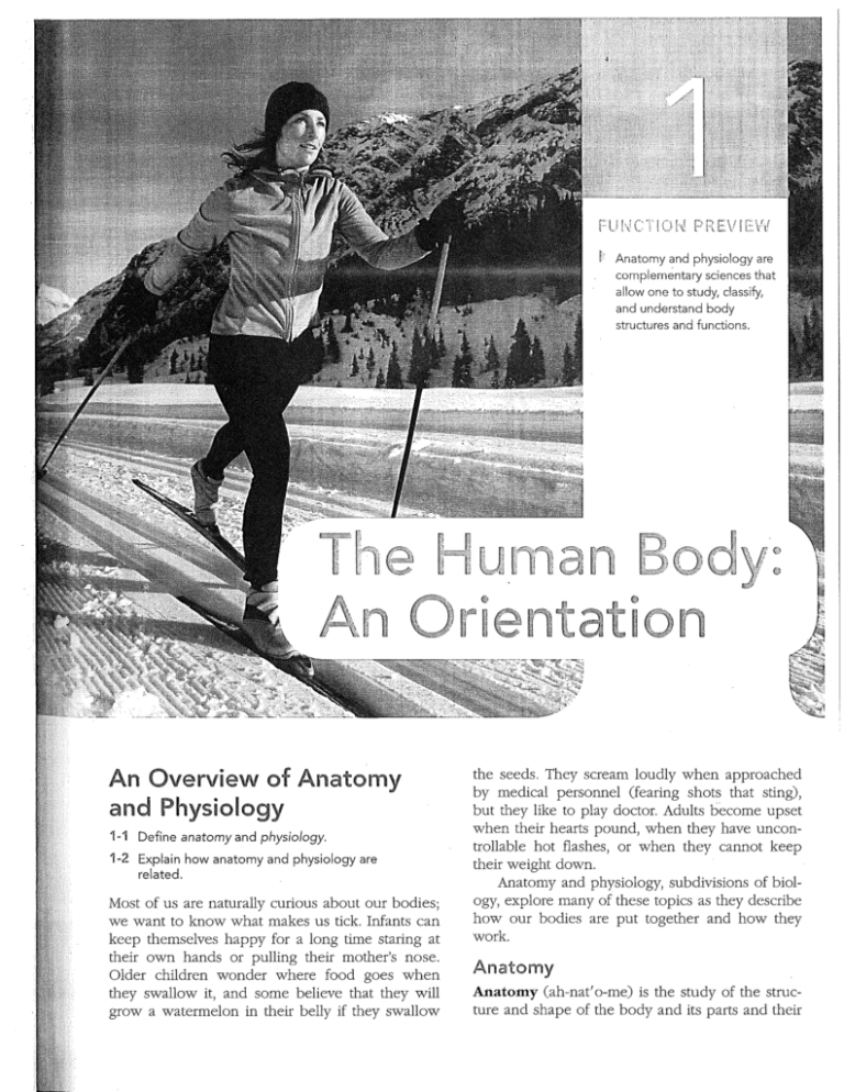 Bod 
