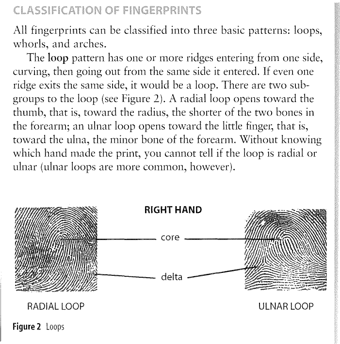 All Fingerprints Can Be Classified Into Three Basic
