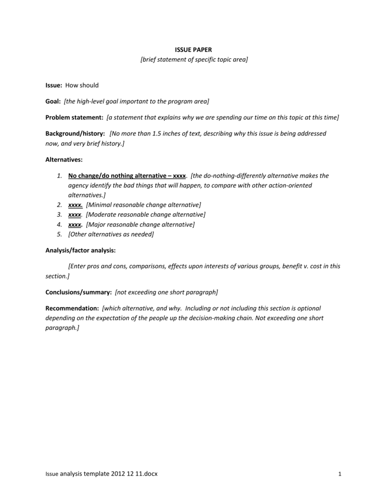 Issue Analysis Template 2012 12 11 docx ISSUE PAPER brief