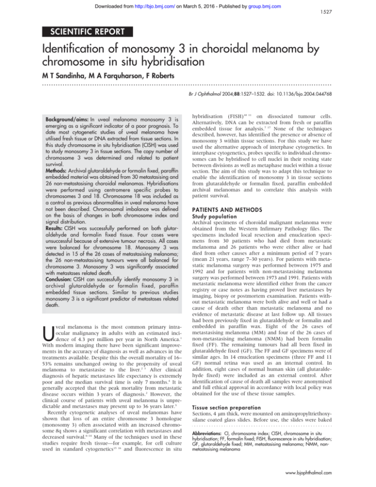 Identification of monosomy 3 in choroidal melanoma by