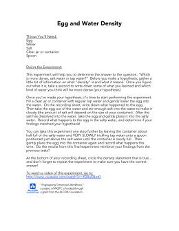 Egg Drop Lab Report