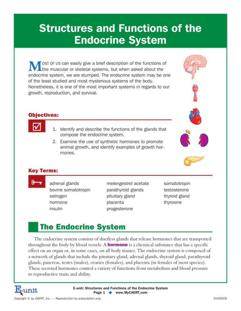 Structures And Functions Of The Endocrine System