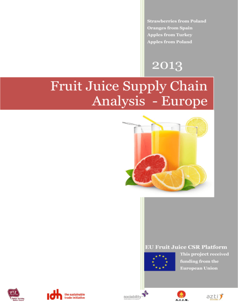 CSR_Platform_Fruit_supply_research
