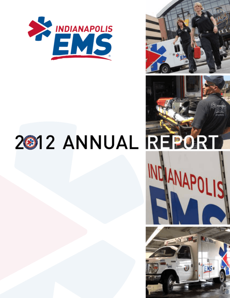 2012 AnnuAl RepoRt
