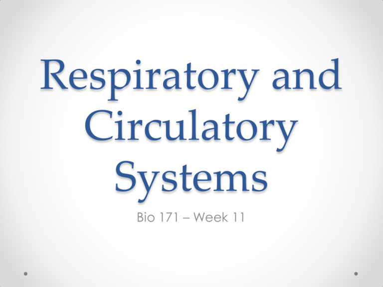 Respiratory And Circulatory Systems