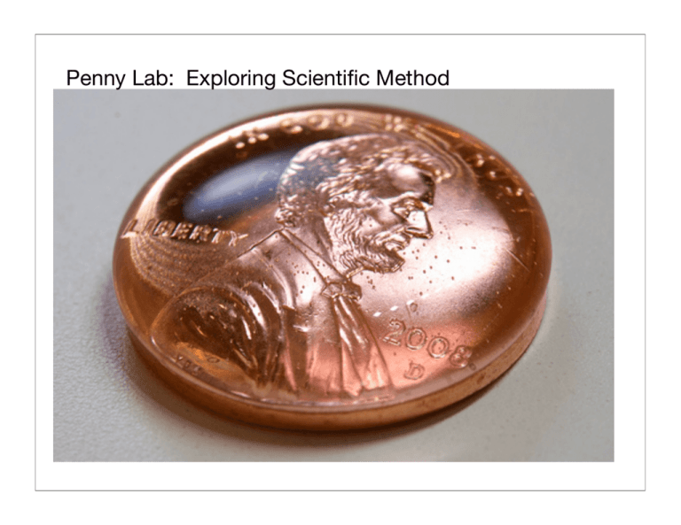 Penny Lab Explain